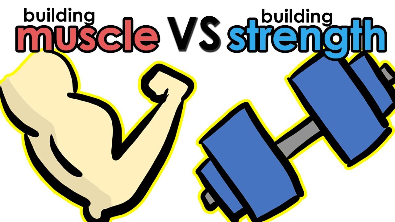 Building Muscle Vs Building Strength - What's the Difference ...