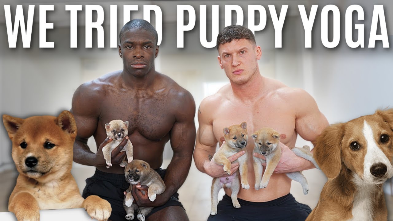 Bodybuilders try Puppy Yoga - PracticalFitness