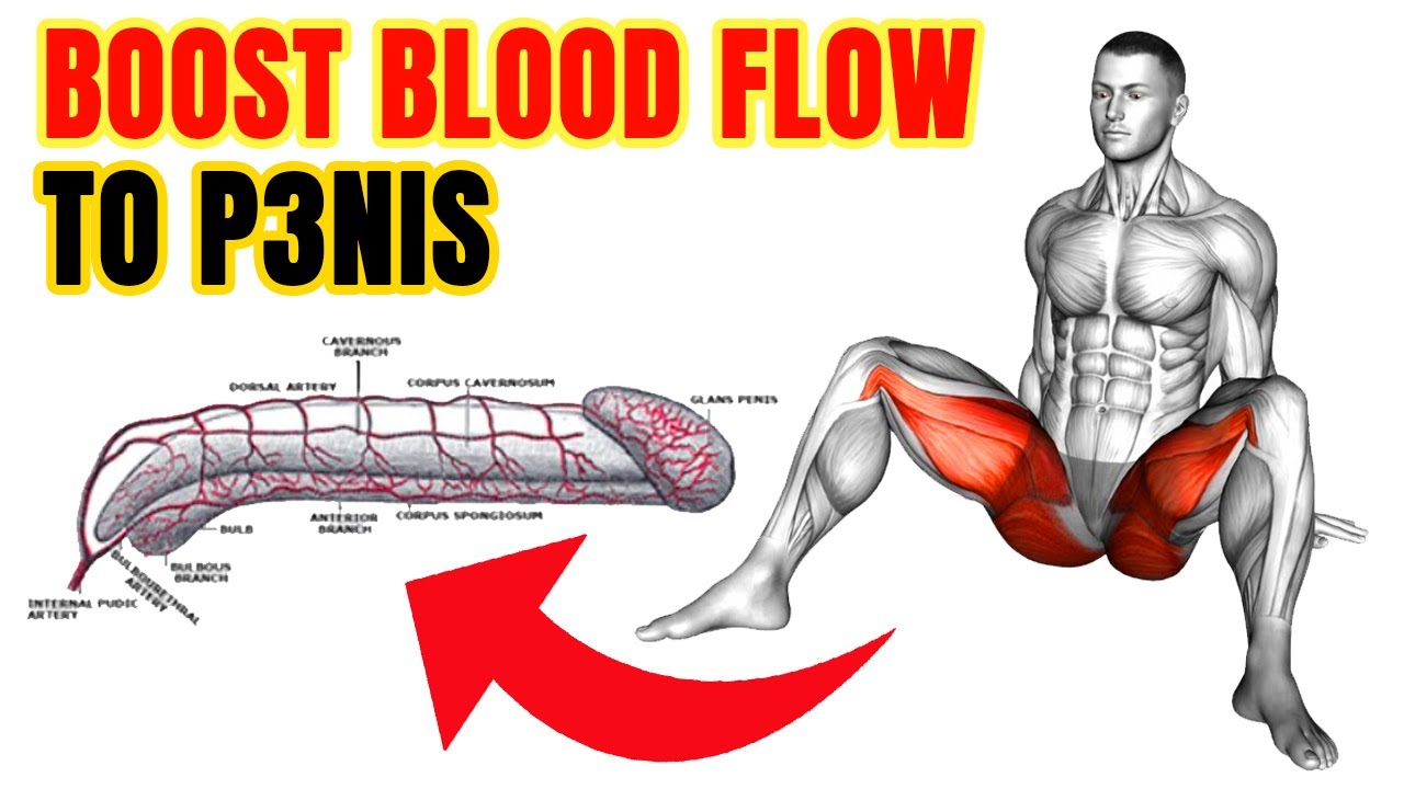 MALE PELVIC FLOOR EXERCISES TO INCREASE BLOOD FLOW TO YOUR GROIN AREA ...