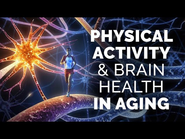 PHYSICAL ACTIVITY and BRAIN HEALTH in Aging - PracticalFitness