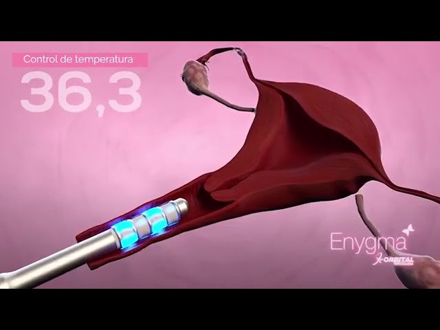 ENYGMA BODY HEALTH - PracticalFitness