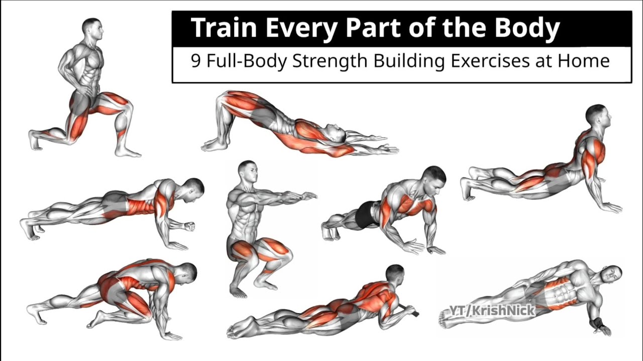 Train Every Part of the Body | 9 Full-Body Strength Building Exercises ...